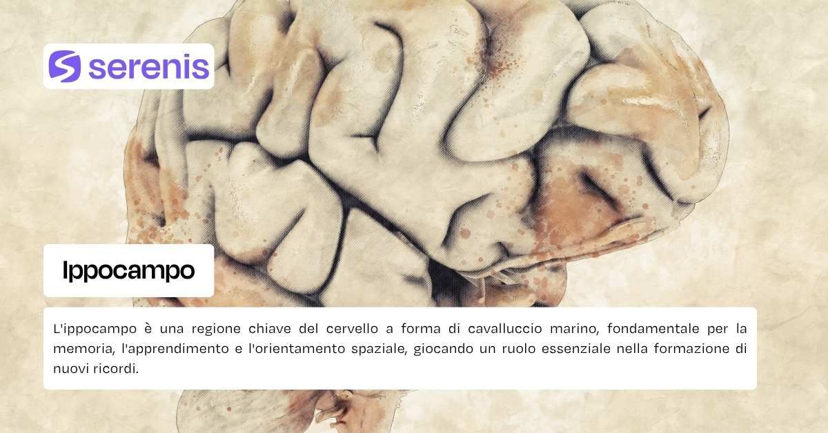 Cos'è l'ippocampo? Anatomia e funzioni